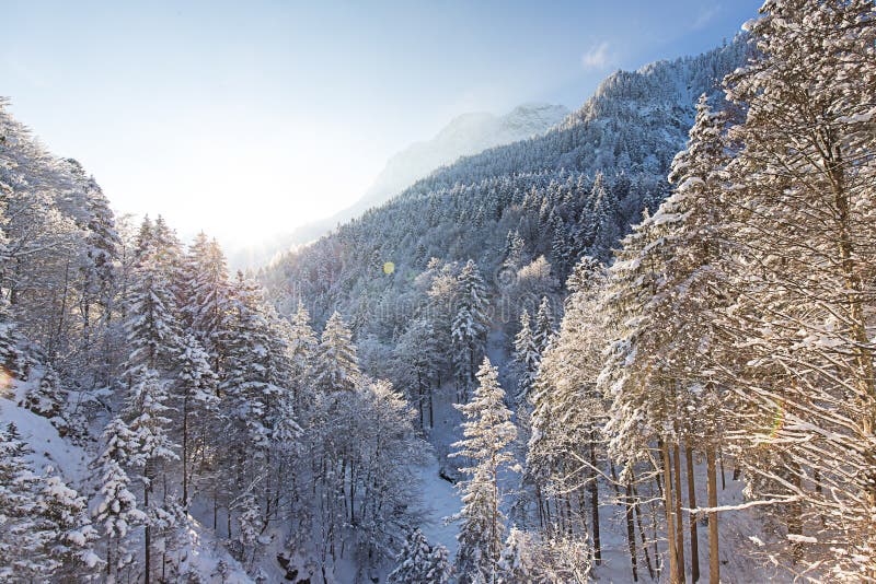 Sunny Winter Landscape in the Mountains Stock Image - Image of peak ...