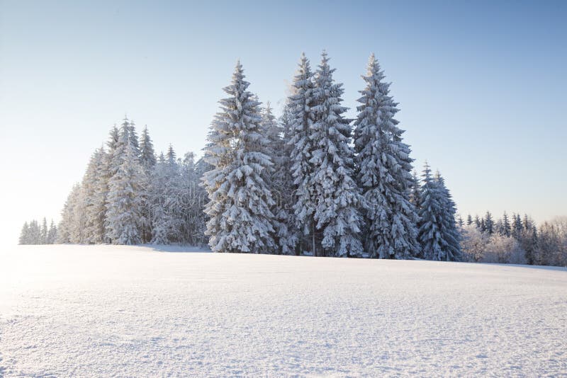 Sunny Winter Landscape in the Mountains Stock Image - Image of scenery ...