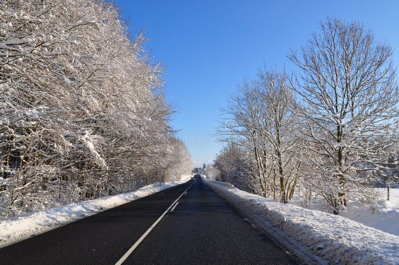 Sunny winter road stock photo. Image of vegetation, snow - 12265108