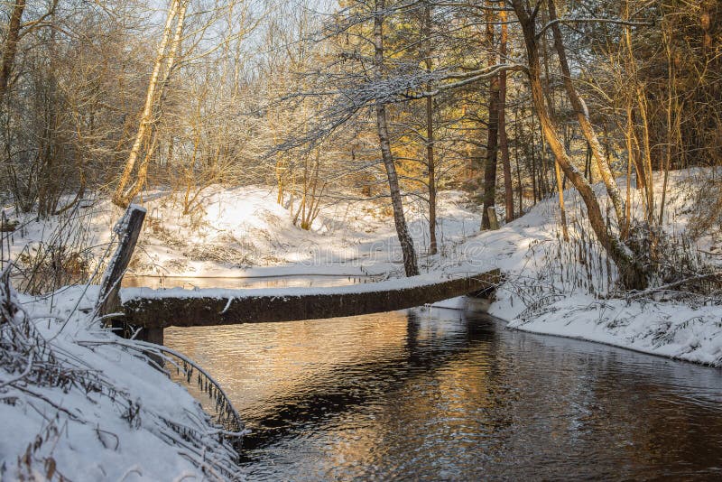 Sunny Winter Scenery with a Concrete Footbridge Over the Forest River ...