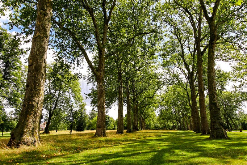Walking path through park stock photo. Image of outdoors - 31673712