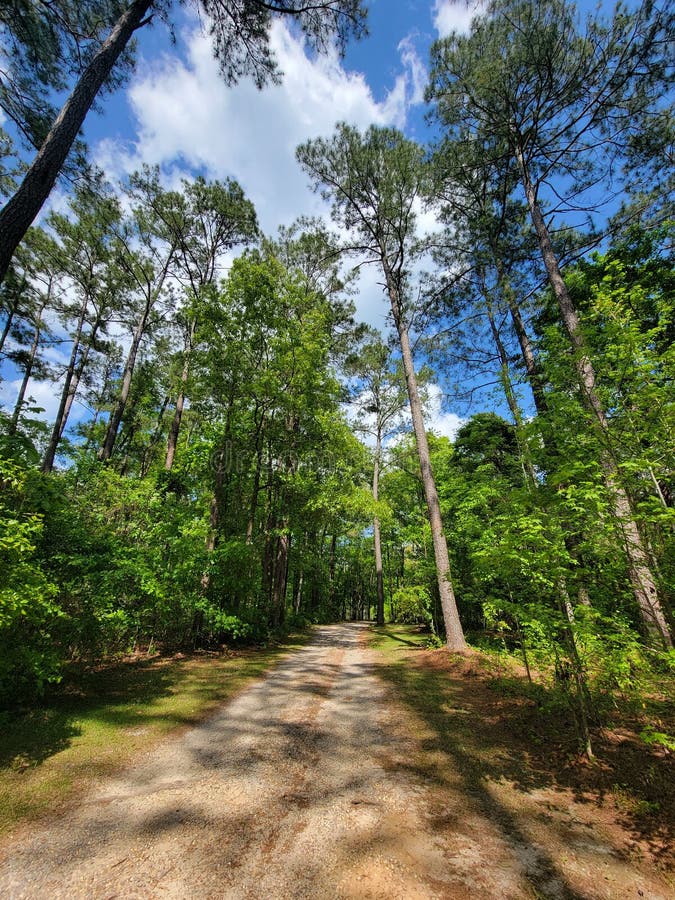 Wooded Driveways Stock Photos - Free & Royalty-Free Stock Photos from ...