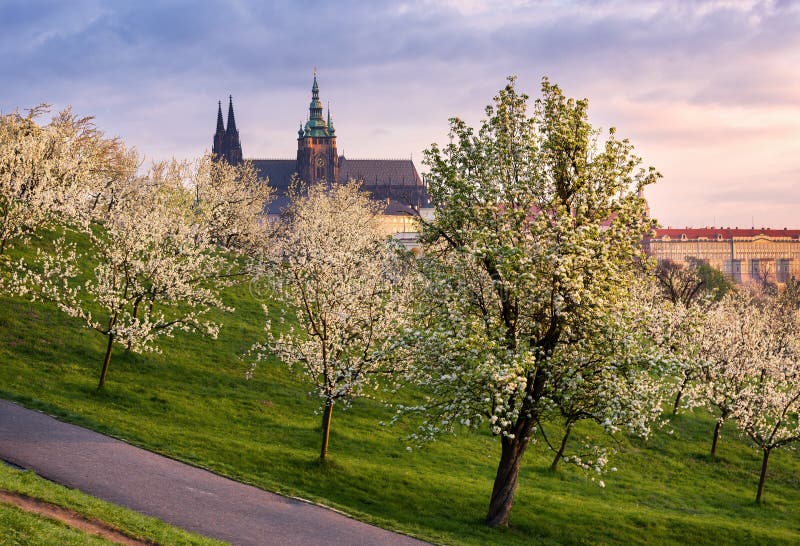 Sunny Yard during Spring Morning at Prague, Czech Republic. Stock Image ...