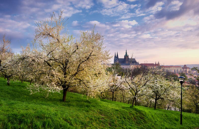 Sunny Yard during Spring Morning at Prague, Czech Republic. Stock Photo ...