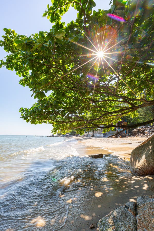 Sunray by the beach stock image. Image of spring, wave - 247249993