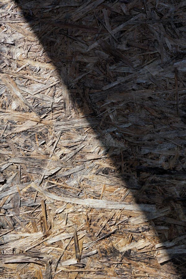 Sunray on wooden texture stock photo. Image of texture - 259560906