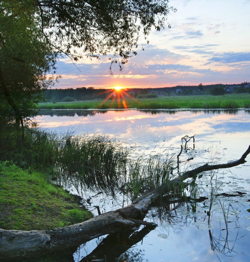 Cross Tree Reflection at Sunrise Stock Photo - Image of solitude, cross ...