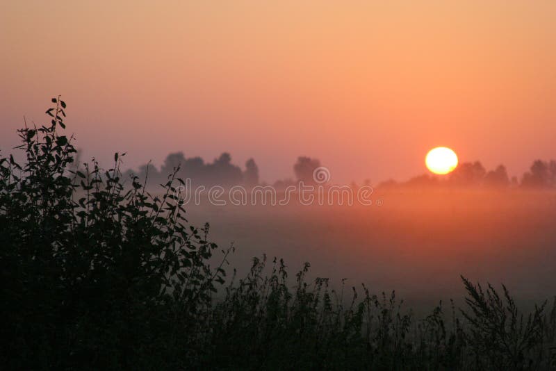Sunrise stock image. Image of bush, peace, morning, sunrise - 1314773