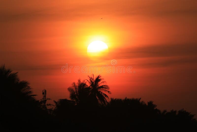 Sunrise Free Stock Photos & Pictures, Sunrise Royalty-Free and Public ...