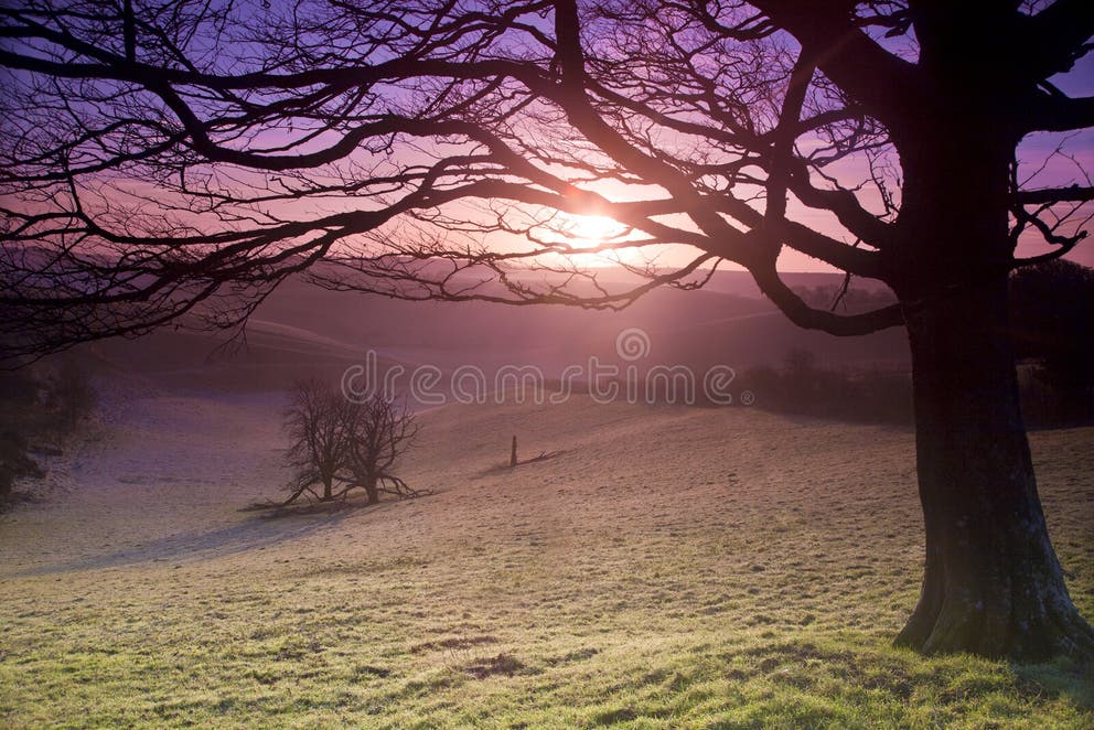 Sunrise stock photo. Image of frost, winter, cold, hiking - 23134248