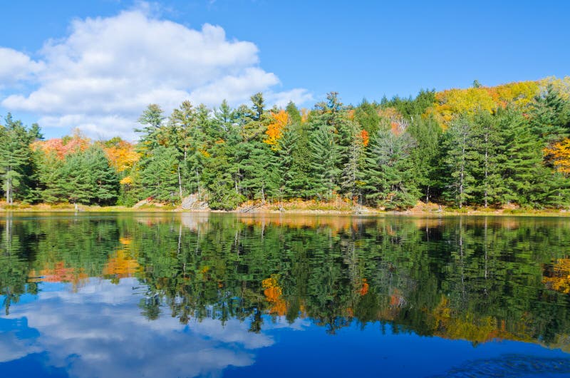 Sunrise above forest lake stock photo. Image of golden - 265779198