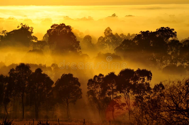 Sunrise Above the Tree in the Clouds Stock Photo - Image of holidaying ...