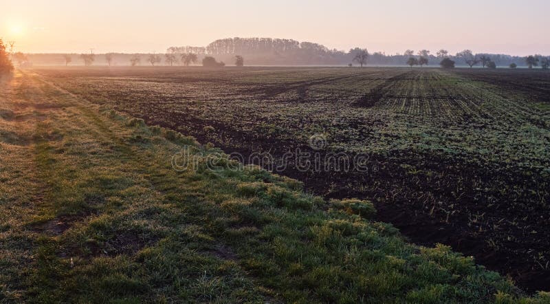 Sunrise in Agricultural Land Stock Image - Image of spring, agriculture ...