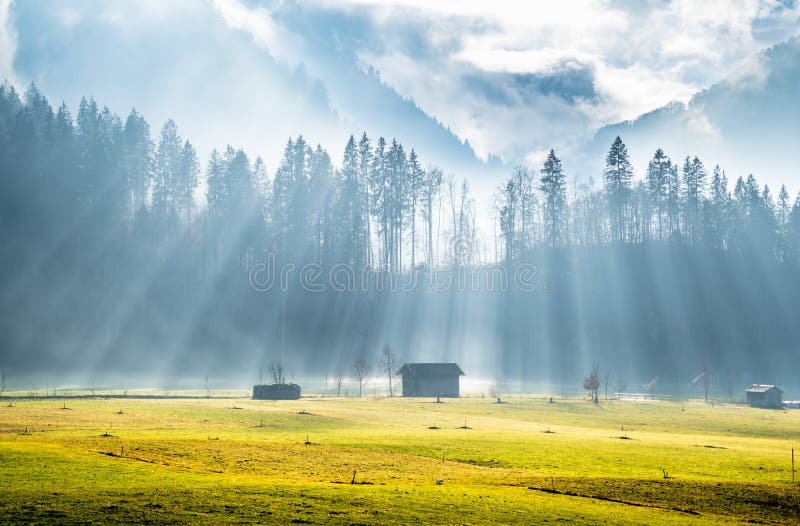 Sunrise in Alpine meadow stock image. Image of lake - 173145019