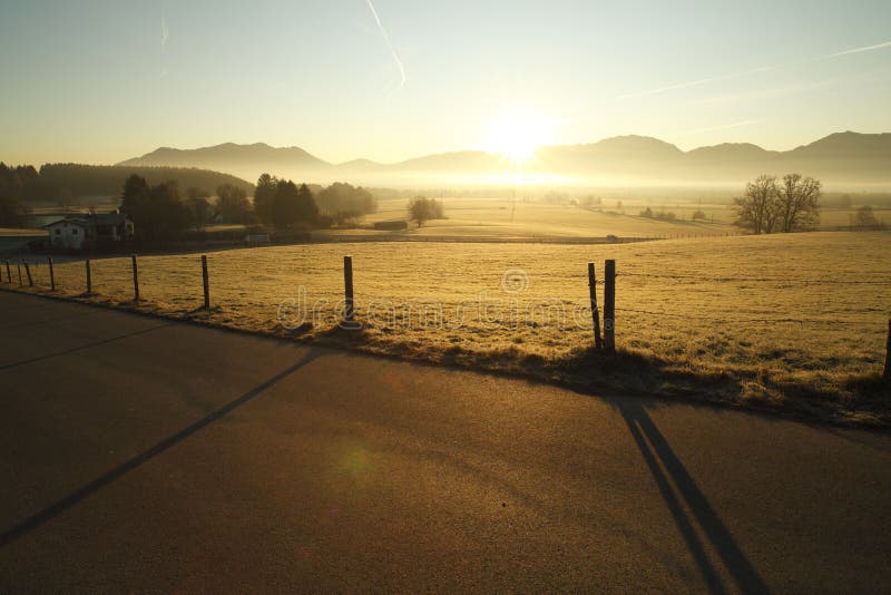 Sunrise in the alps stock photo. Image of lovely, bush - 26823848