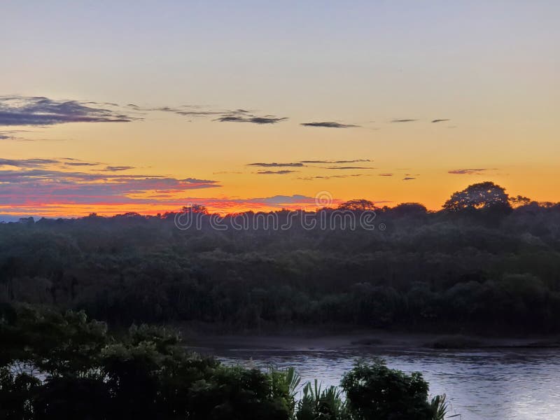 Sunrise Amazon Jungle River Stock Photo - Image of cloud, morning ...