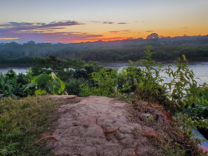 Sunrise Amazon Jungle River Stock Photo - Image of cloud, morning ...