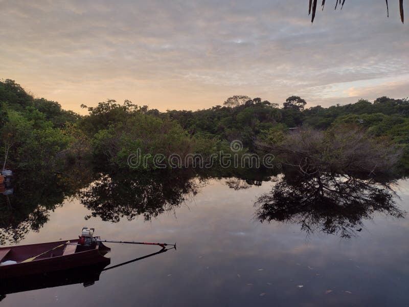 Sunrise of the Amazon Rainforest Stock Image - Image of landscape ...