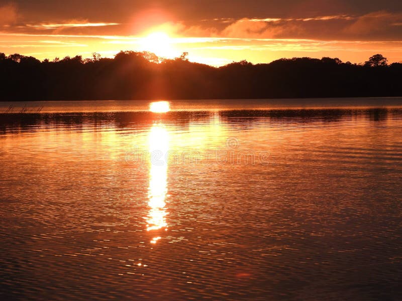 Sunrise by the Amazon River in Brazil Stock Photo - Image of light ...