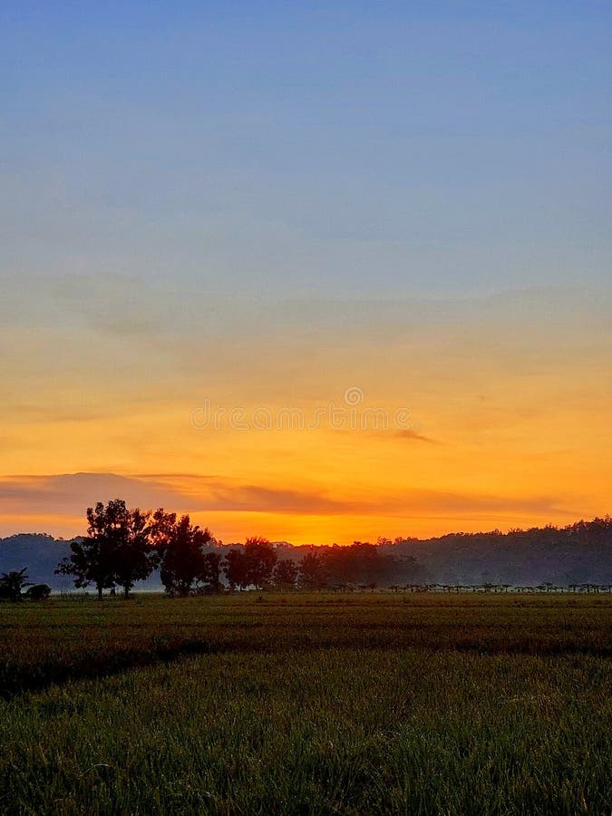 Sunrise that Appears between the Rice Fields Stock Image - Image of ...