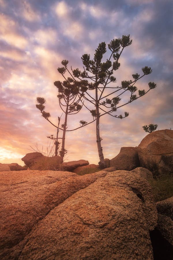 Sunrise at Arthur Bay on Magnetic Island with Rocks and Trees in ...
