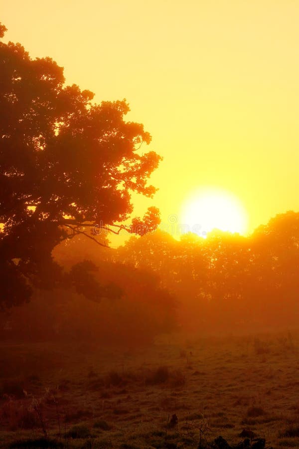 Sunrise in autumn B stock photo. Image of rise, trees - 27168972