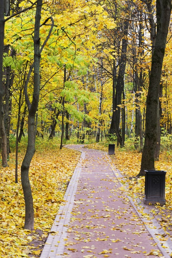 Sunrise in Autumn Forest. Walking Path in the Park Autumn Day Stock ...
