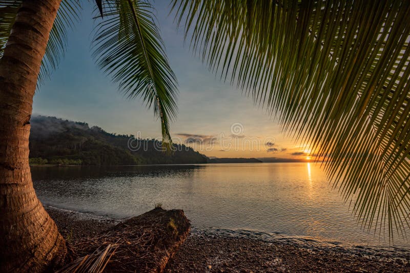 Sunrise in Costa Rica stock image. Image of trees, maine - 131768145