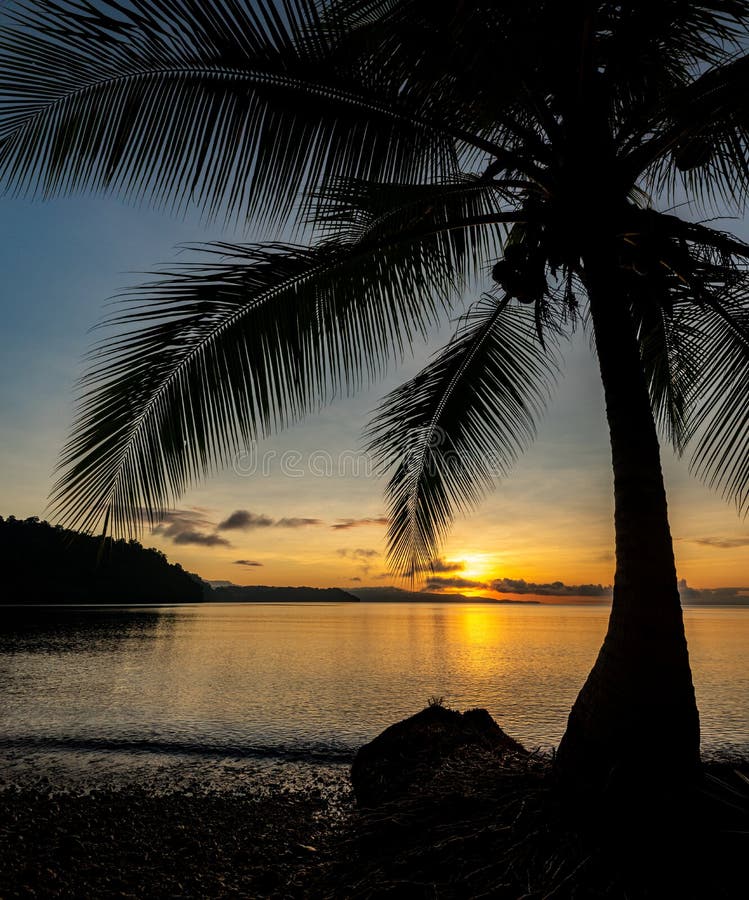Sunrise in Costa Rica stock image. Image of starry, milky - 132311245