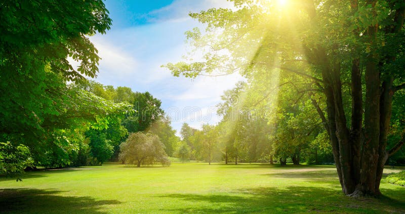 Sunrise Beam in Beautiful Park Stock Image - Image of sunset, wood ...