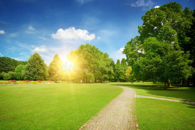 Sunrise in beautiful park stock photo. Image of scenic - 60119778