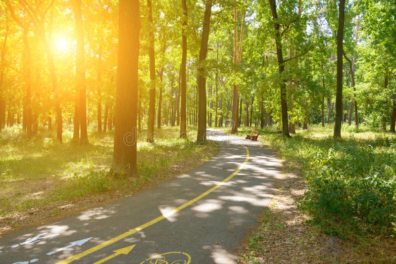 Sunrise in a Beautiful Park with Bicycle and Walking Path Stock Photo ...