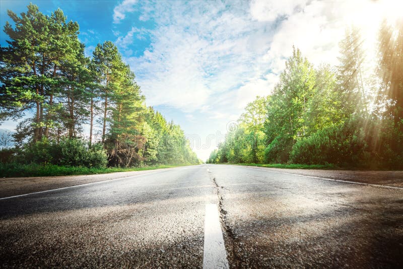 Sunrise Beautiful Road in Forest Stock Photo - Image of road, morning ...