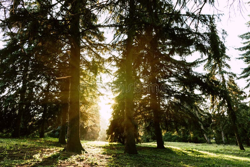 Sunrise in Beautiful Scenic Stock Photo - Image of bright, outdoors ...