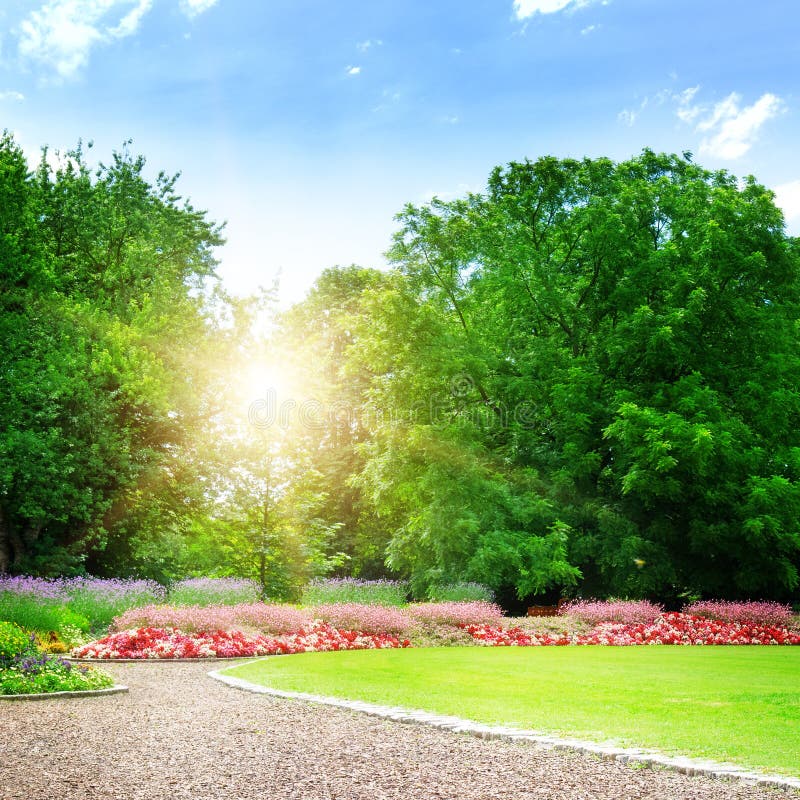 Gorgeous Panoramic Spring Scenery with Sunlit Trees Stock Image - Image ...