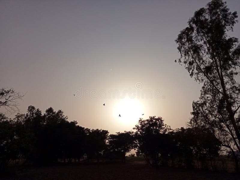 Sunrise is beautiful stock photo. Image of sunlite, light - 219696588