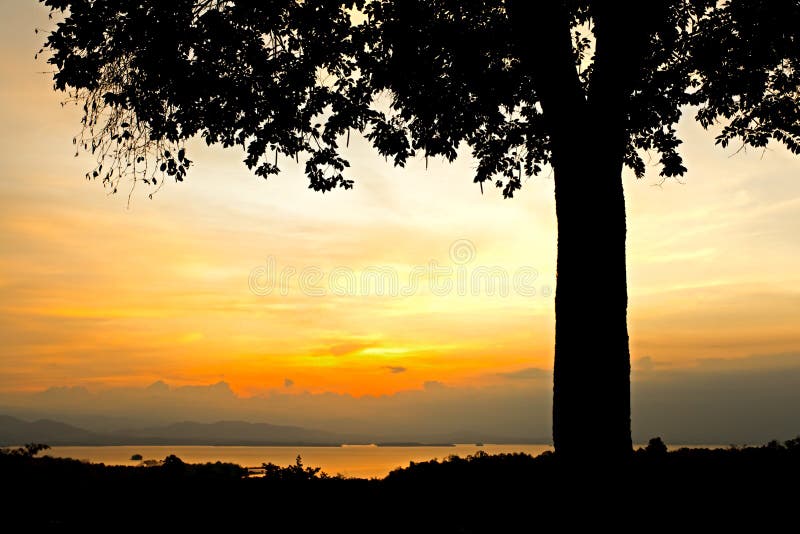 Sunrise behind tree stock photo. Image of dusk, summer - 225644732