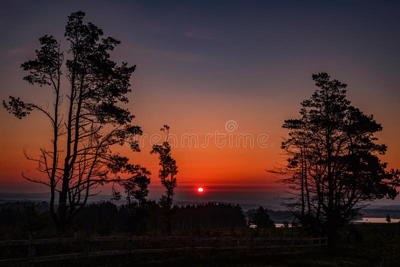 Sunrise Behind the Tree, Sun Shield Stock Image - Image of sunset ...