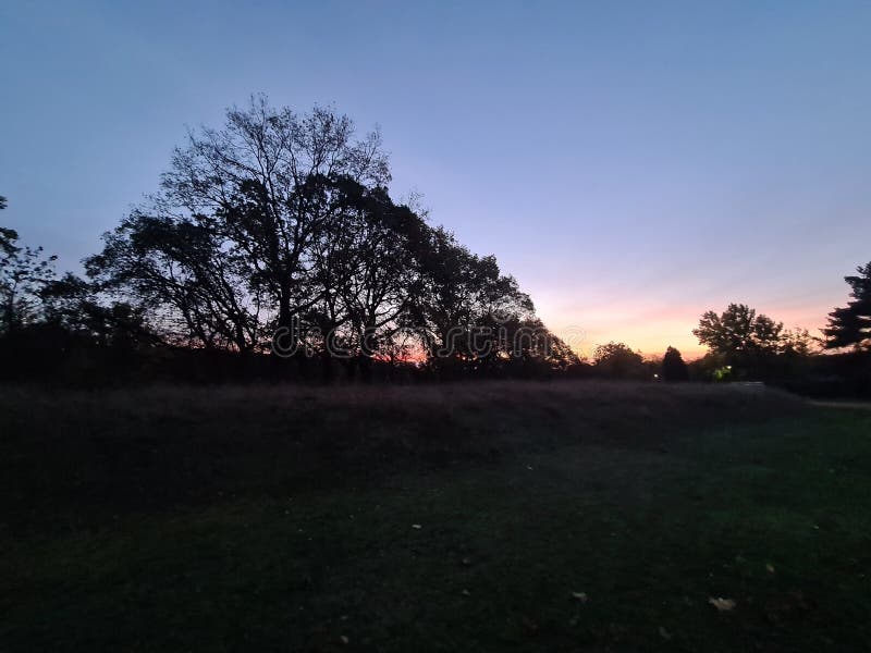 Sunrise behind the tree stock image. Image of cloud - 260934537