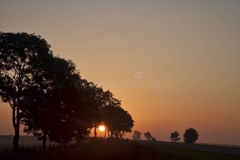 Sunrise Behind the Trees stock image. Image of silhouette - 134785251