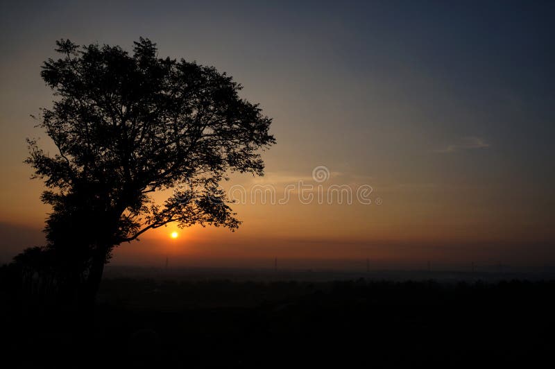 Sunrise behind the trees stock photo. Image of morning - 39964588