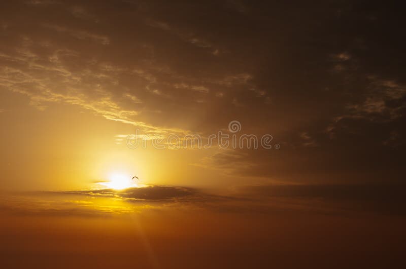 Sunrise with Bird Flying Near the Sun. Stock Photo - Image of beauty ...