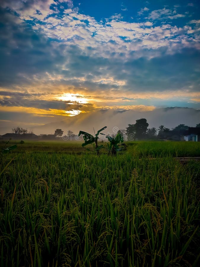 Sunrise blue fog landscape stock image. Image of sunrise - 223002175