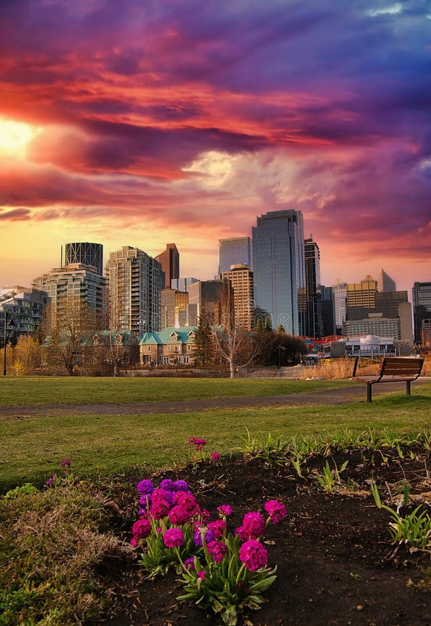 Sunrise Clouds Over a Downtown Calgary Park Stock Image - Image of dawn ...