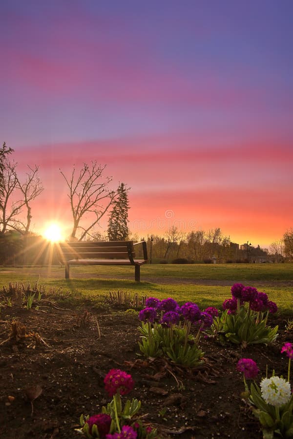 Sunrise Clouds Over a Spring Park Stock Image - Image of sunrays ...