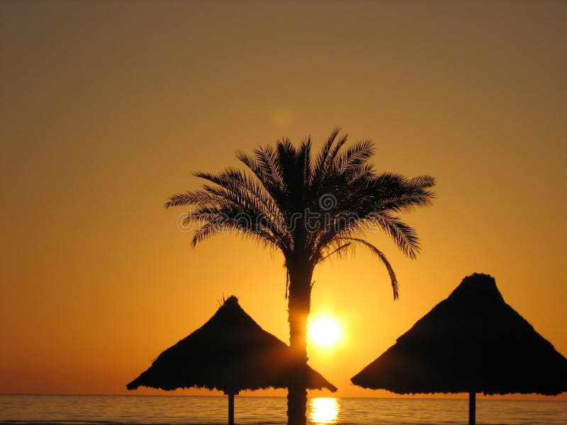 Red Sea coast stock photo. Image of nomadic, exploration - 2780030