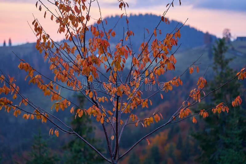 Sunrise in a Cold November Morning in the Mountains Stock Image - Image ...