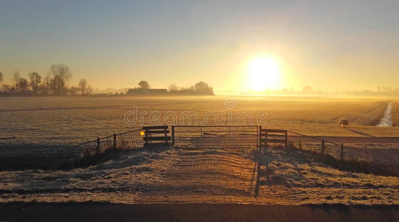 Sunrise stock image. Image of sunset, floodplain, cold - 81452245