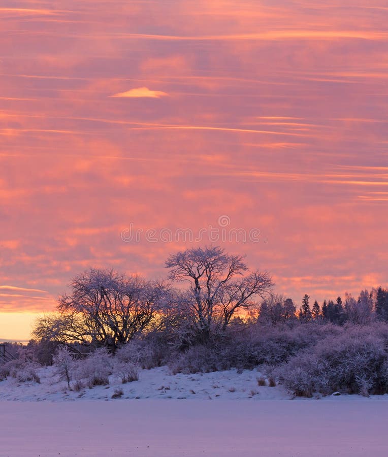Sunrise stock image. Image of snow, outdoor, mood, winter - 67488045