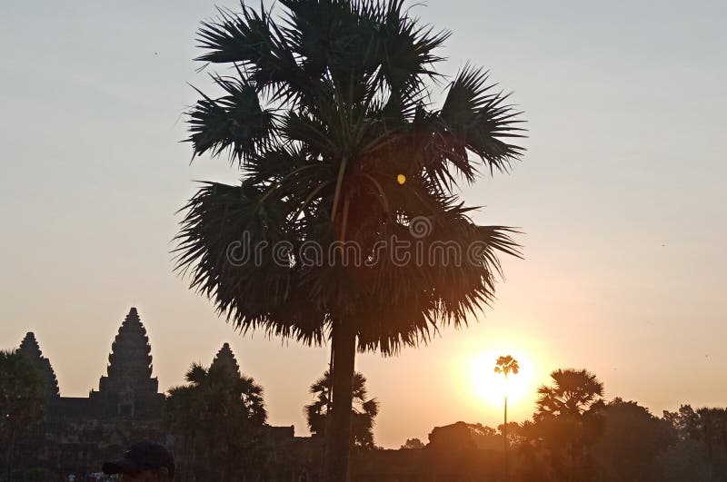 The Sunrise Colors and Light of Angkor Wat Stock Photo - Image of ...